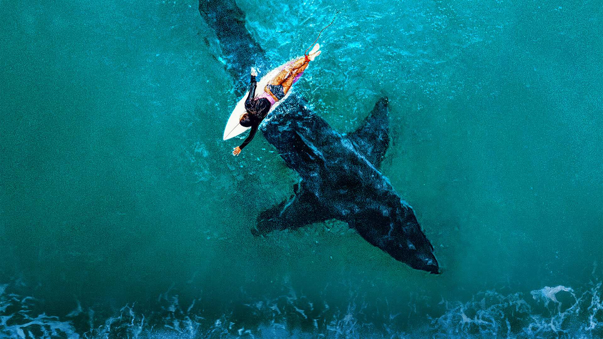 Tiburón blanco, navidad mortal